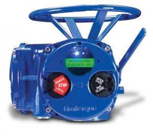 Flowserve Limitorque® Actuators – MSEC